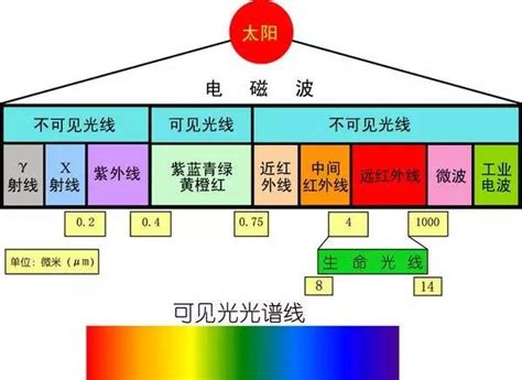 攝影佳作要素：色彩 每日頭條
