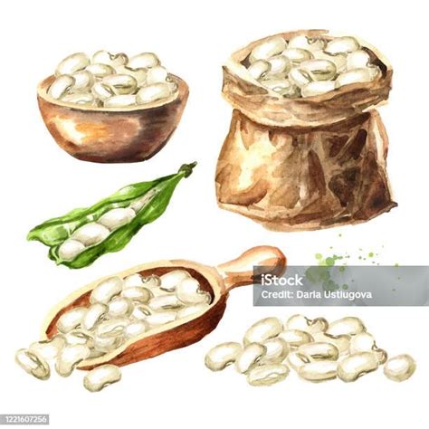 종이 봉투 그릇 흰 강낭콩과 포드 세트와 국자 흰색 배경에 고립 된 손으로 그린 수채화 그림 콩 콩과에 대한 스톡 벡터 아트 및 기타 이미지 Istock