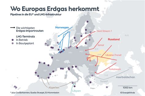 Andreas Löschel über Ukraine Lng Terminals Energiesicherheit