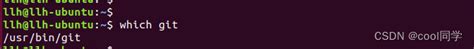 Vscode Remote Ssh 解决远程项目无法使用 Git Graph 插件unable To Load Git Graph Csdn博客