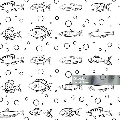 바다 물고기 개요 스케치 그리기 원활한 패턴 벡터 고립 된 인쇄 템플릿 그래픽 수족관 수중 벽지 간단한 검은 평면 스타일 포장지 물고기에 대한 스톡 벡터 아트 및 기타