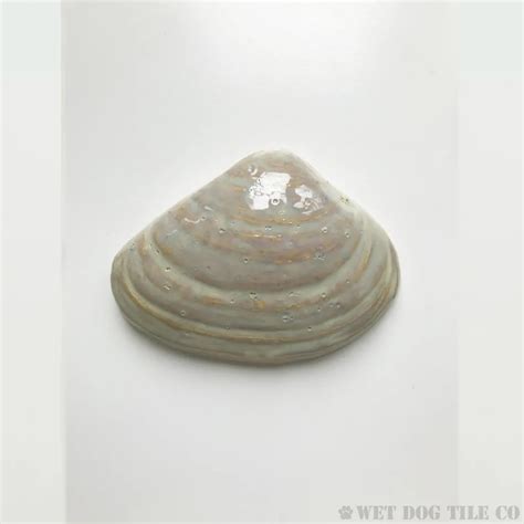 Large Quahog Shell 5 Glazed Ceramic Tile Wet Dog Tile Co