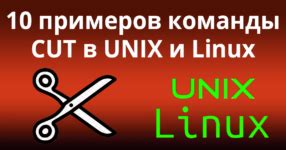 10 примеров использования команды CUT в UNIX и Linux