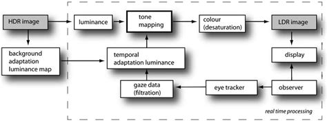 13 Gaze Dependent Tone Mapping Workflow Adapted From Mantiuk And Download Scientific Diagram