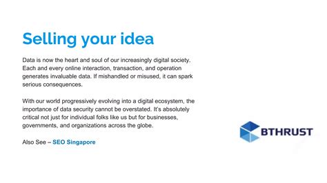Robust Software Solutions Pptx