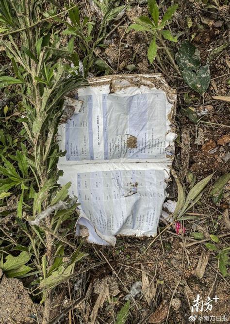 发现东航mu5735遇难者遗体！救援人员展开地毯式搜救⚡找到大片的机翼碎片！