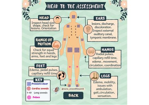Head To Toe Assessment Head To Toe Assessment Face Pupils Symmetry