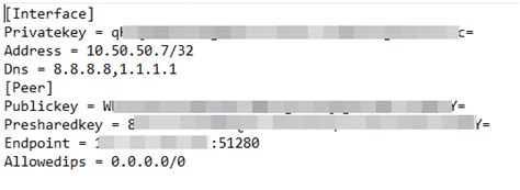 Usage Guidelines Debian With Wireguard Server Virtual Pulse S R O News