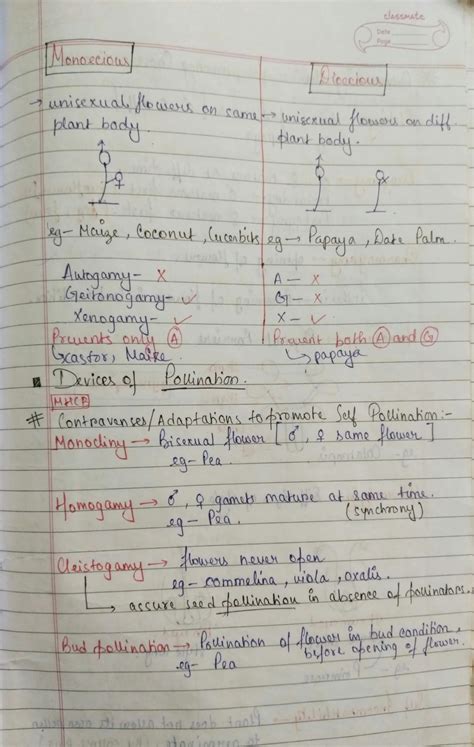 Solution Pollination Sexual Reproduction In Flowering Plants Class 12