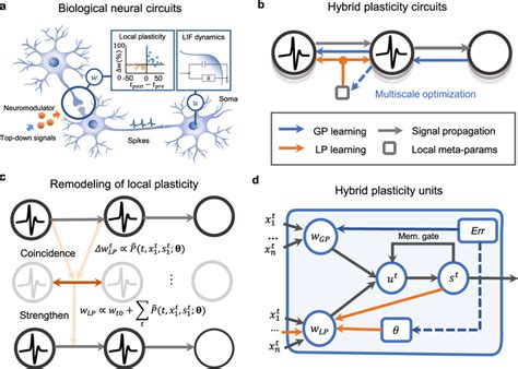 Illustration Of Hybrid Synergic Learning Model A An Illustration Of Download Scientific Diagram
