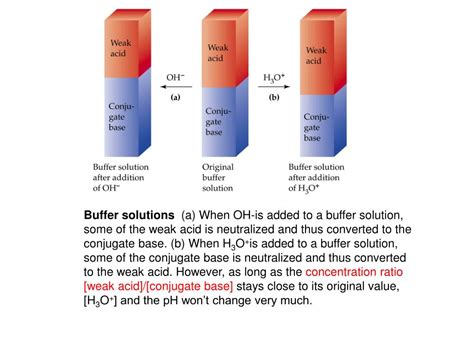 Ppt Buffers And Buffer Capacity Powerpoint Presentation Free Download Id5949383