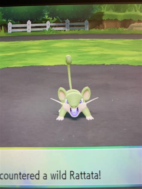 [lgpe] Random Shiny Rattata Didnt Have One Yet So Im Happy About It