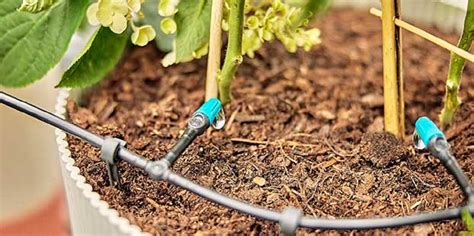 ℹ Descubre El Sistema De Riego Por Goteo Y Los Productos Agrícolas De