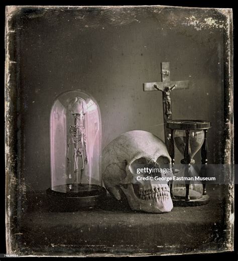 Originally Titiled Still Life With Skull Daguerreotype Image Shows
