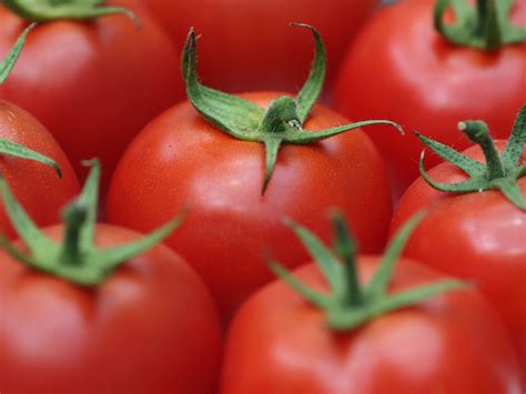 Доматите краставиците и чушките утоляват най добре жаждата Nova Bg