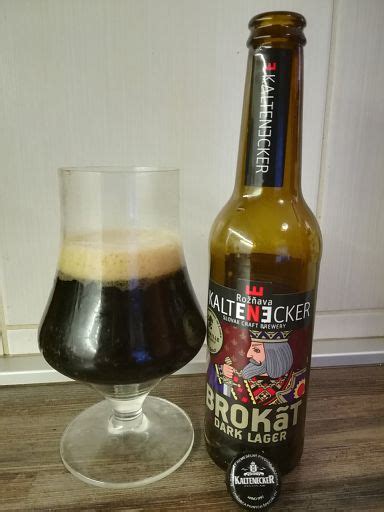 Top 10 Best Slovak Beer Brands To Try This Year