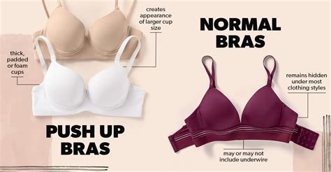 Push Up Bras Vs Normal Bras 4 Key Differences Leonisa