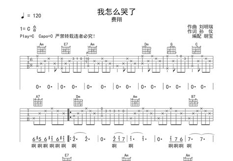 我怎么哭了吉他谱 费翔 C调弹唱83 专辑版 吉他世界