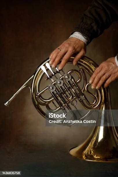 프렌치 호른 클래식 금관 악기에서 인기있는 고대 금속 악기 어린이와 성인 아마추어 및 전문가에게 사랑받는 악기 프렌치 호른에 대한 스톡 사진 및 기타 이미지 Istock