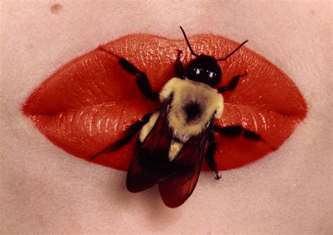 Beauty — The Irving Penn Foundation