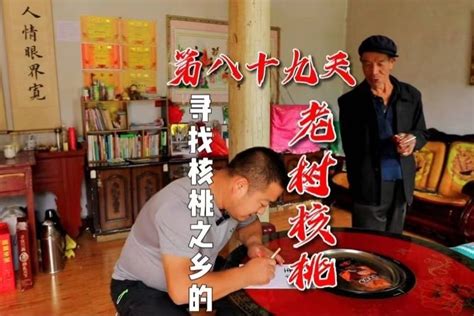 寻找核桃之乡千年老树核桃的第八十九天凤凰网视频凤凰网