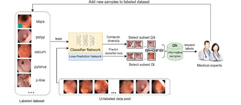 The Framework For Diagnosis Of Gastrointestinal Disease With Active Download Scientific Diagram