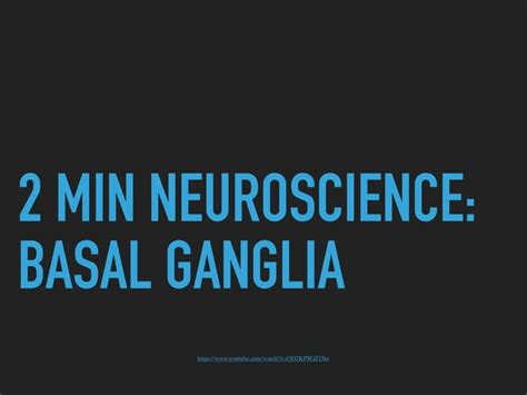 Deep Brain Structures Pdf