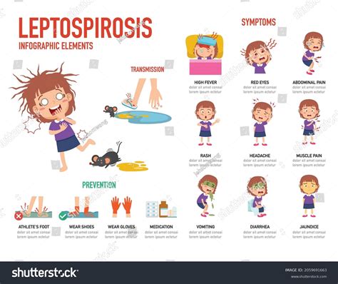 Leptospirosis Rash