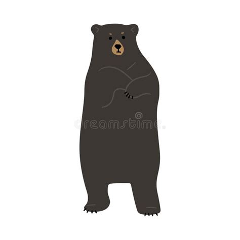 American Black Bear Single Stock Illustrations 56 American Black Bear