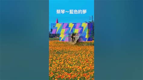 蔡琴～藍色的夢 Youtube