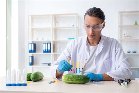 The Male Nutrition Expert Testing Vegetables In Lab Male Nutrition