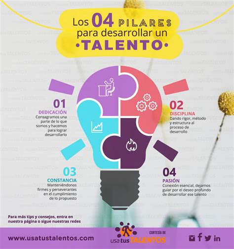 Pin De Leandra Jaramillo En Soy Emprendedor Disciplina Talentos