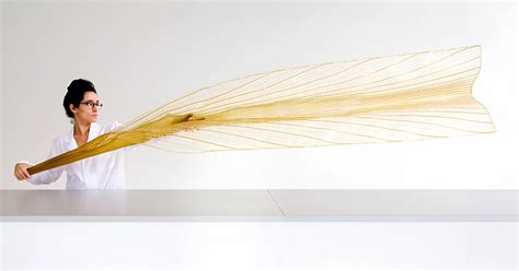 Neri Oxmans Contributions To Parametric Design And Biomimicry