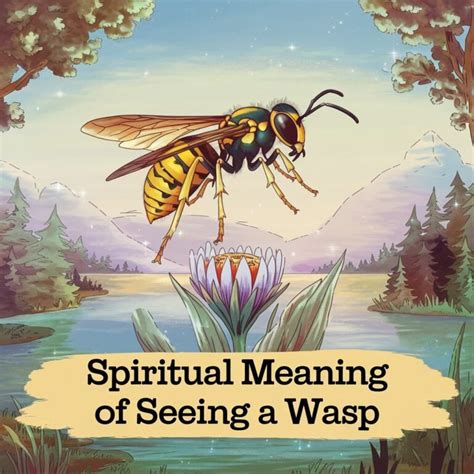 12 Spiritual Meanings Of Ammonite