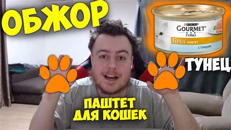 Кошачий Паштет Purina с Тунцом - Обжор! Для Гурманов! Мукбанг от Хикки ...