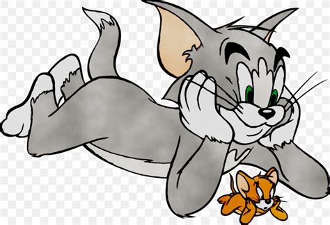 Jerry Mouse Tom Cat Nibbles Tom And Jerry Cartoon Png 1600x1095px
