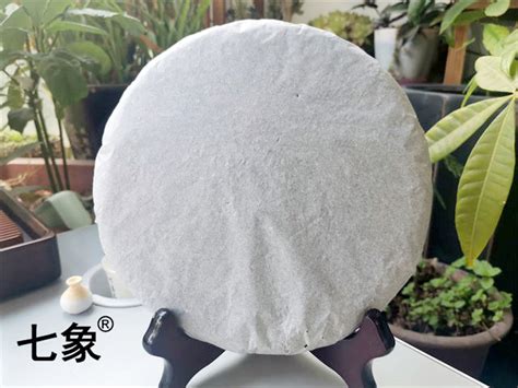 冰岛普洱茶利尿 哔哩哔哩