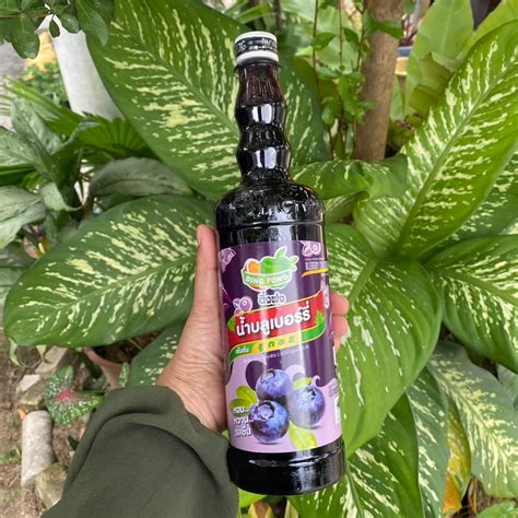 Kordial Buah Buahan Ding Fong Shopee Malaysia