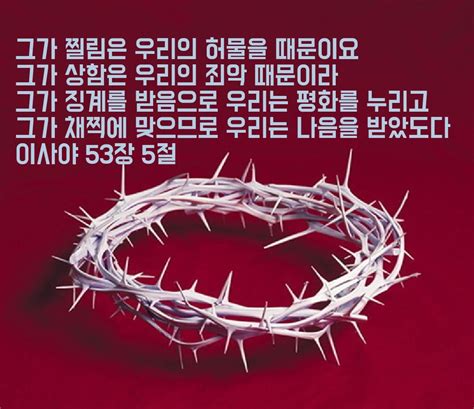 이사야 53장 5절