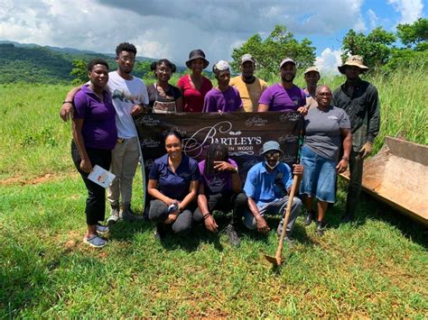 Bartleys All In Wood Jamaica Deaf Village Plant Trees On National