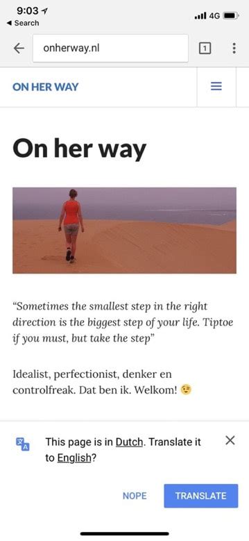 how to automatically translate a web page that is in another language