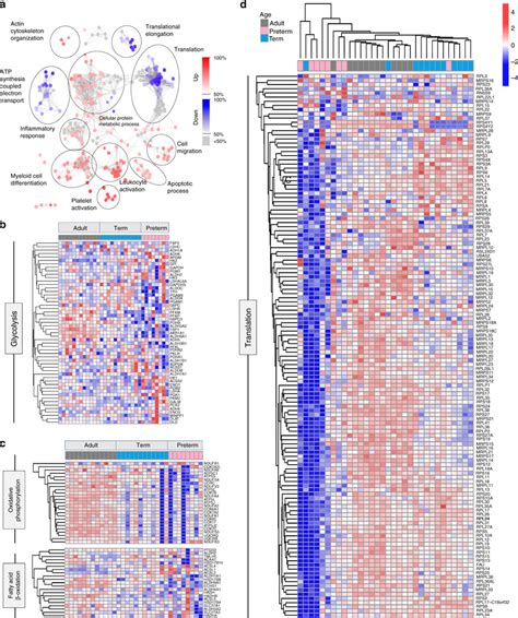 Transcriptome Analysis In Neonatal Monocytes A Gene Ontology Analysis