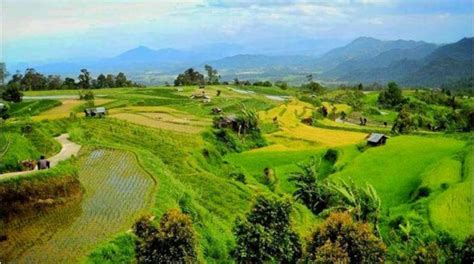 Mengintip Pesona Desa Pariangan Desa Terindah Di Dunia Dengan Sejarah Panjang Krt News