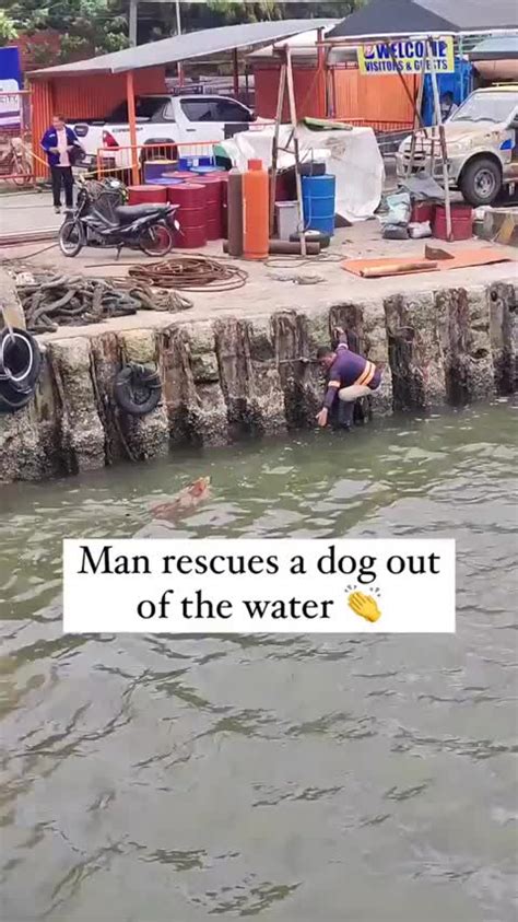 Lengthy Ass Dempe Album On Imgur