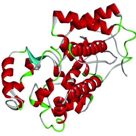 Schematic Representation Of The Catalytic Cycle Of Peroxidases