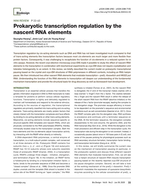Prokaryotic Transcription Regulation By The Nascent Rna Elements Docslib