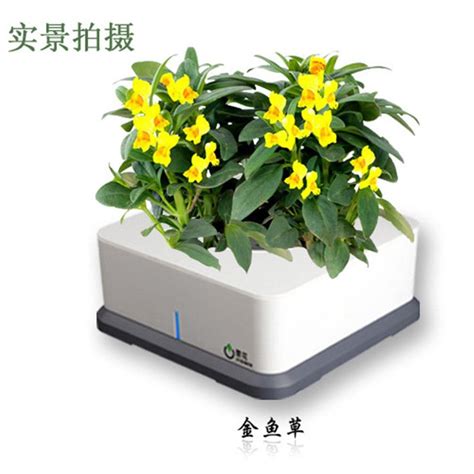 智能盆栽物联网解决方案 深圳市帝晨灿科技有限公司