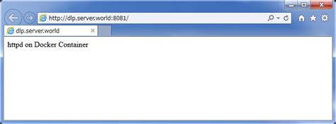 Fedora 21 Docker Access To The Container Server World