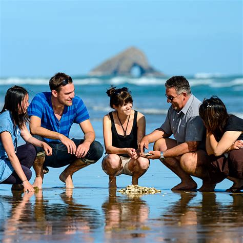 Cape Reinga Ninety Mile Beach Tour Bay Of Islands