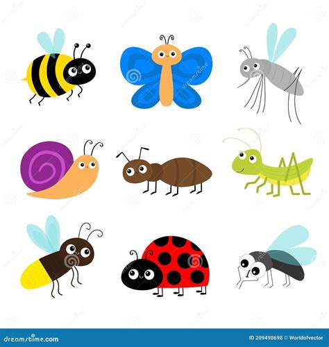Grasshopper Fly Firefly Ant Mosquito Bee Bumblebee Butterfly